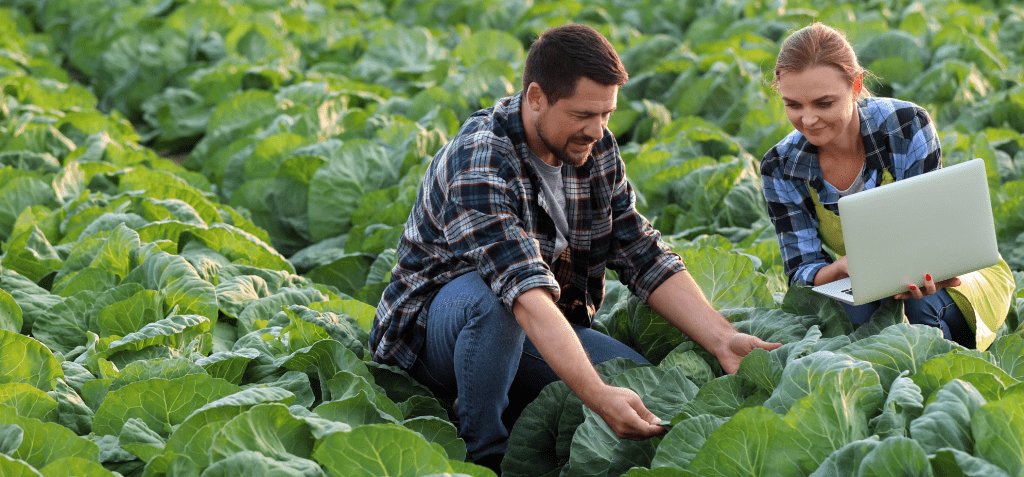 Agronome : fiche métier | ESA Angers & Paris